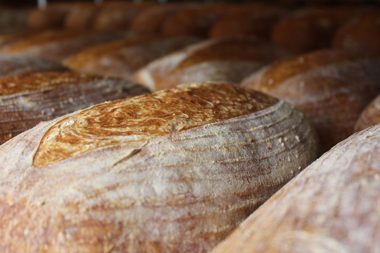 When Pigs Fly Recipes When Pigs Fly Breads