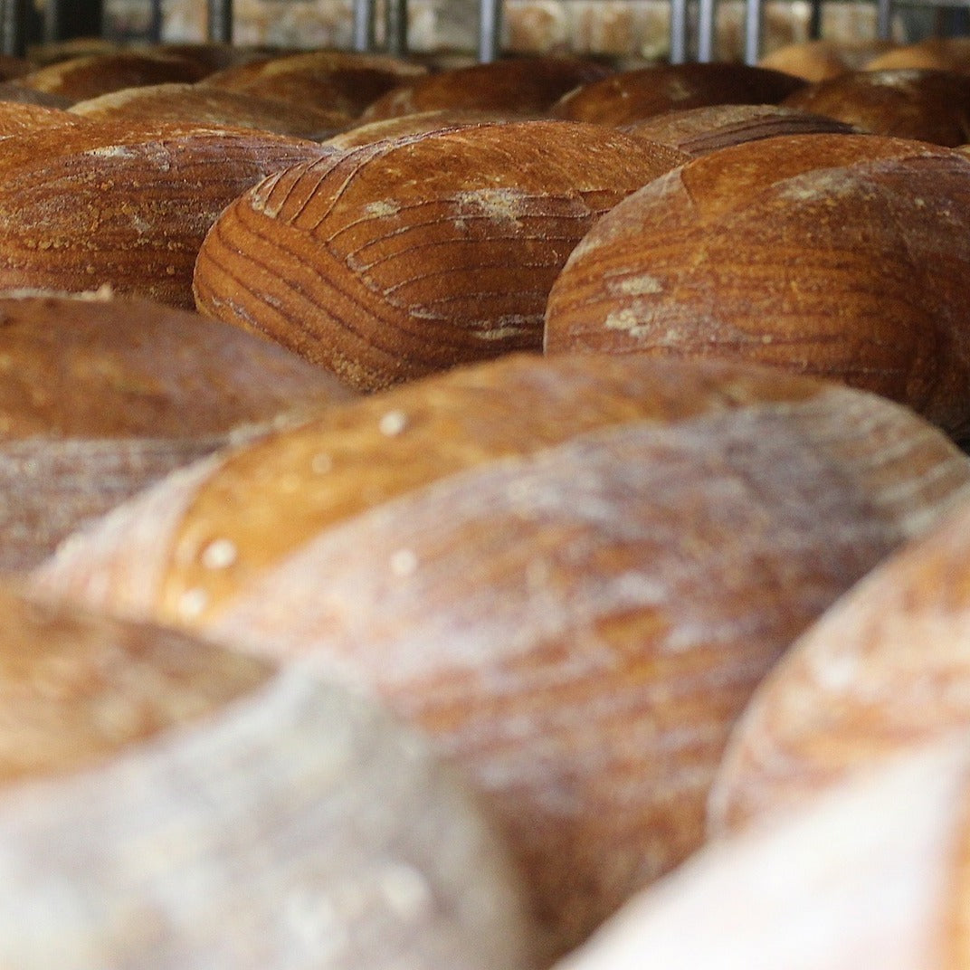 Classic Breads – When Pigs Fly Breads