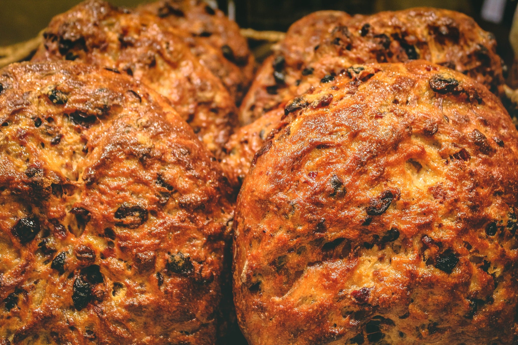 sendbread.com – When Pigs Fly Breads