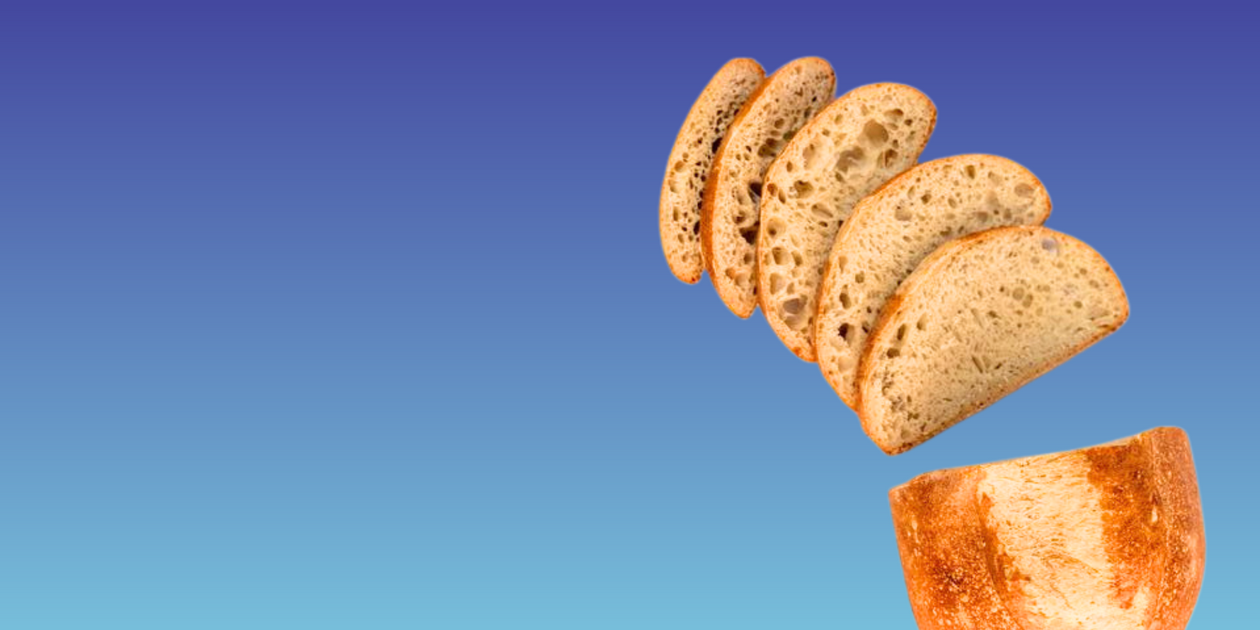 sendbread.com – When Pigs Fly Breads